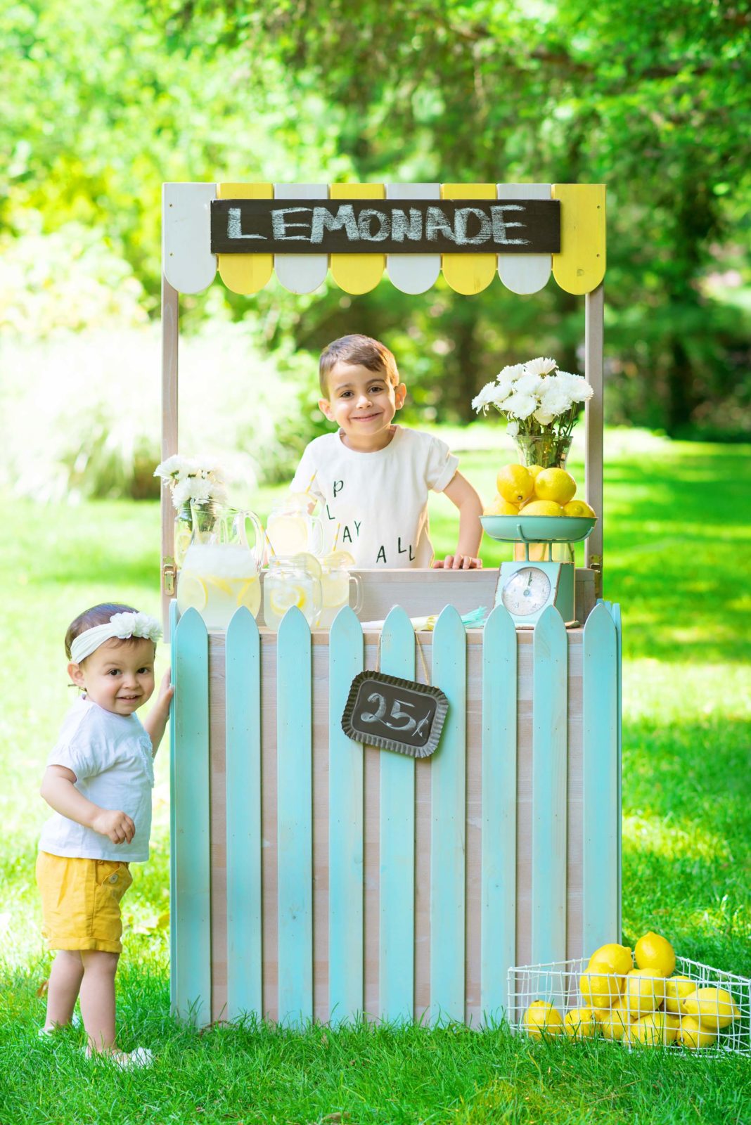 Lemonade Stand Mini Sessions Tips